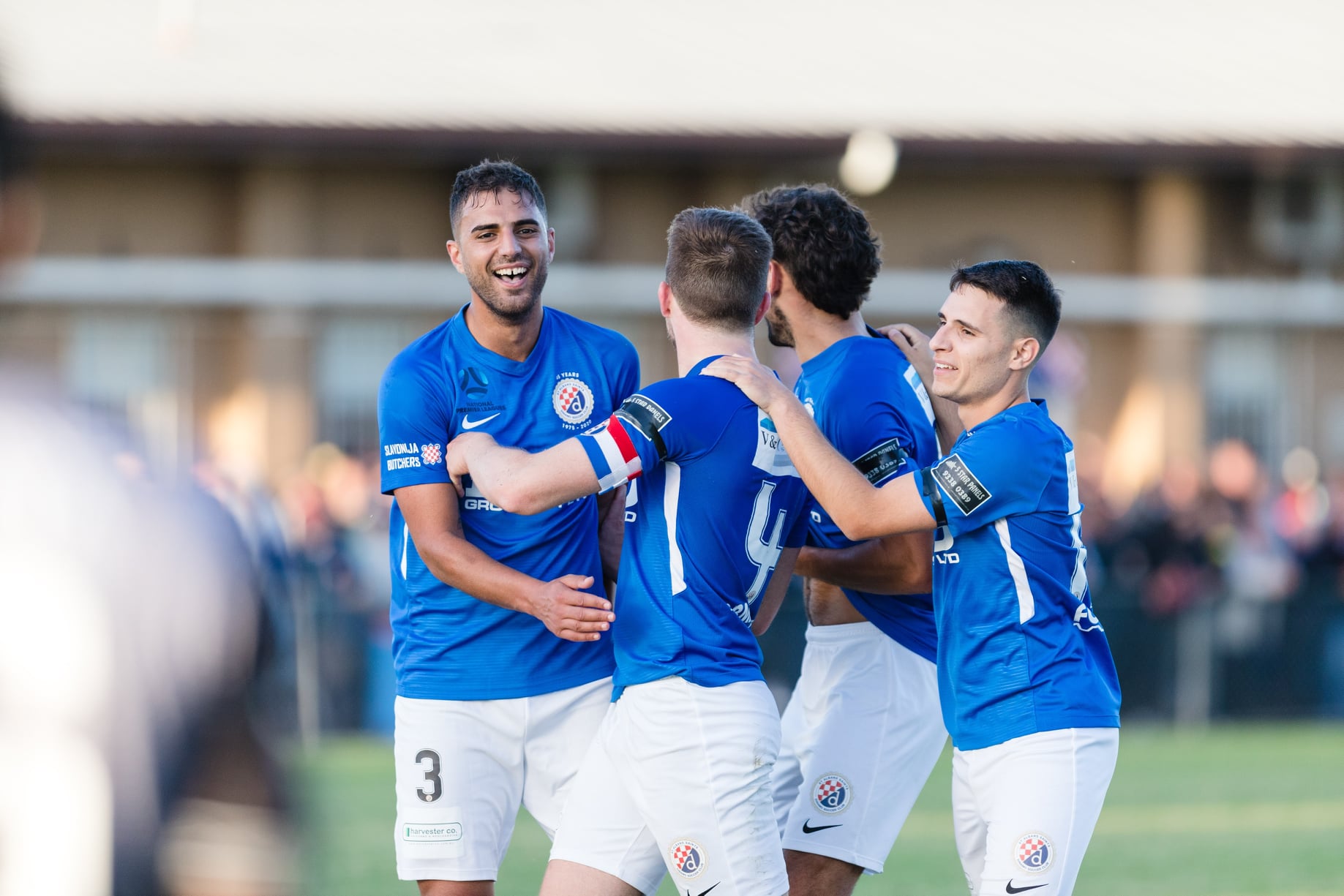 St Albans Saints Dinamo Soccer Club