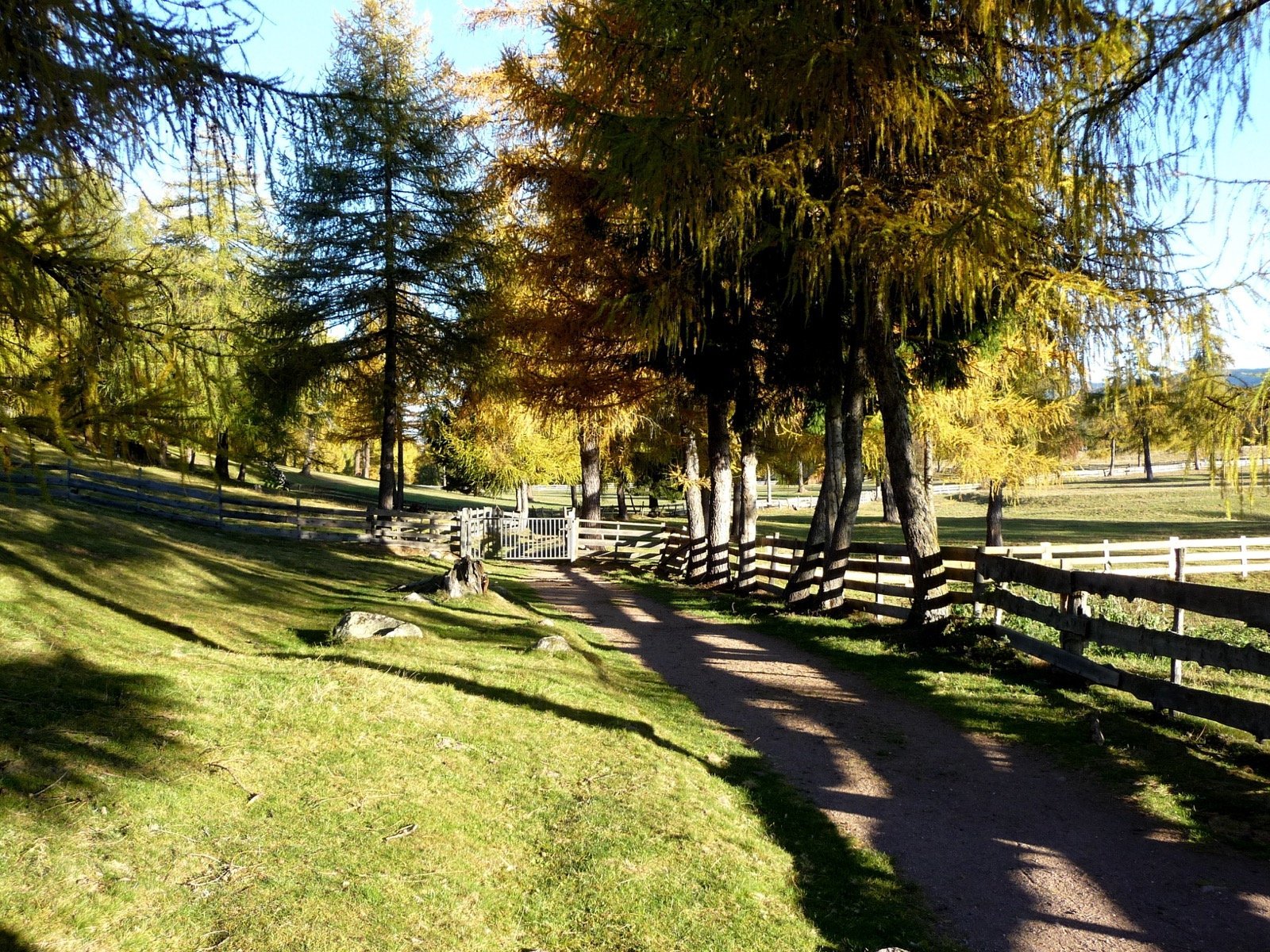 Südtirol Urlaub auf dem Wanderbauernhof - Gasthof Wieser - Jenesien