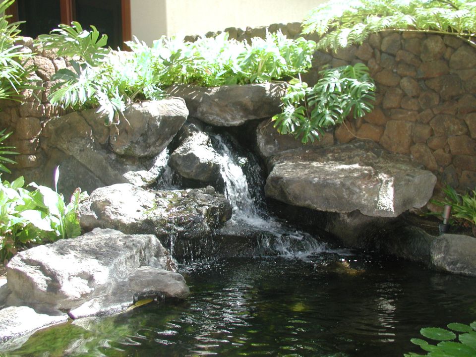 Pool and Spa Portfolio I Kamuela, HI I Kai Pono Builders