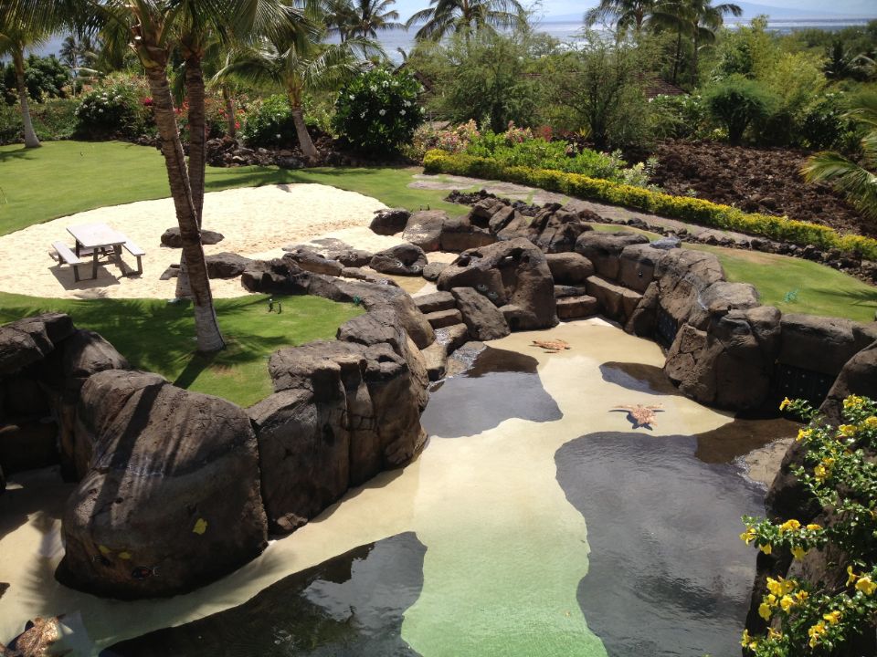 Pool and Spa Portfolio I Kamuela, HI I Kai Pono Builders
