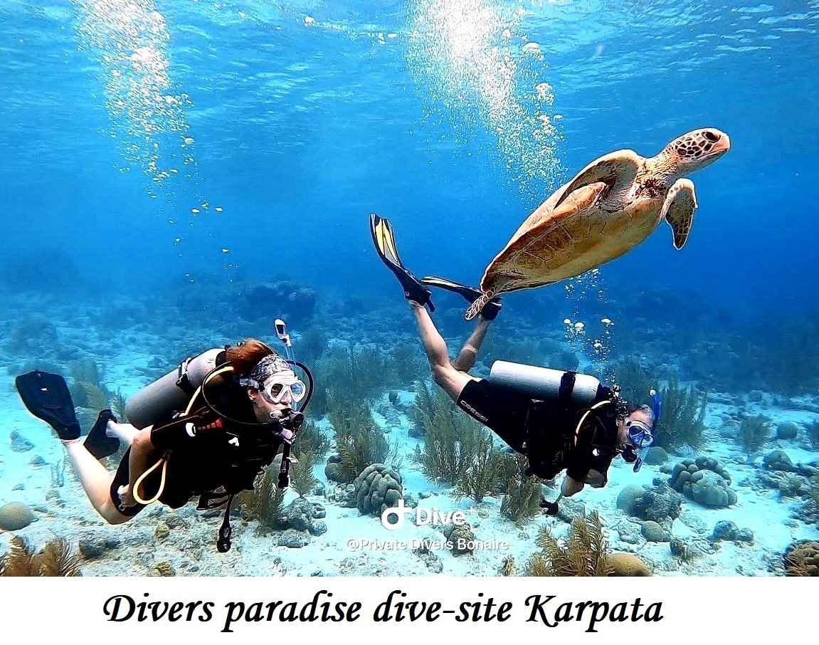 Duiken op Bonaire, met Private Divers Bonaire, Duikspullen verhuur