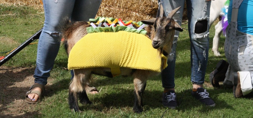 Goat Owners