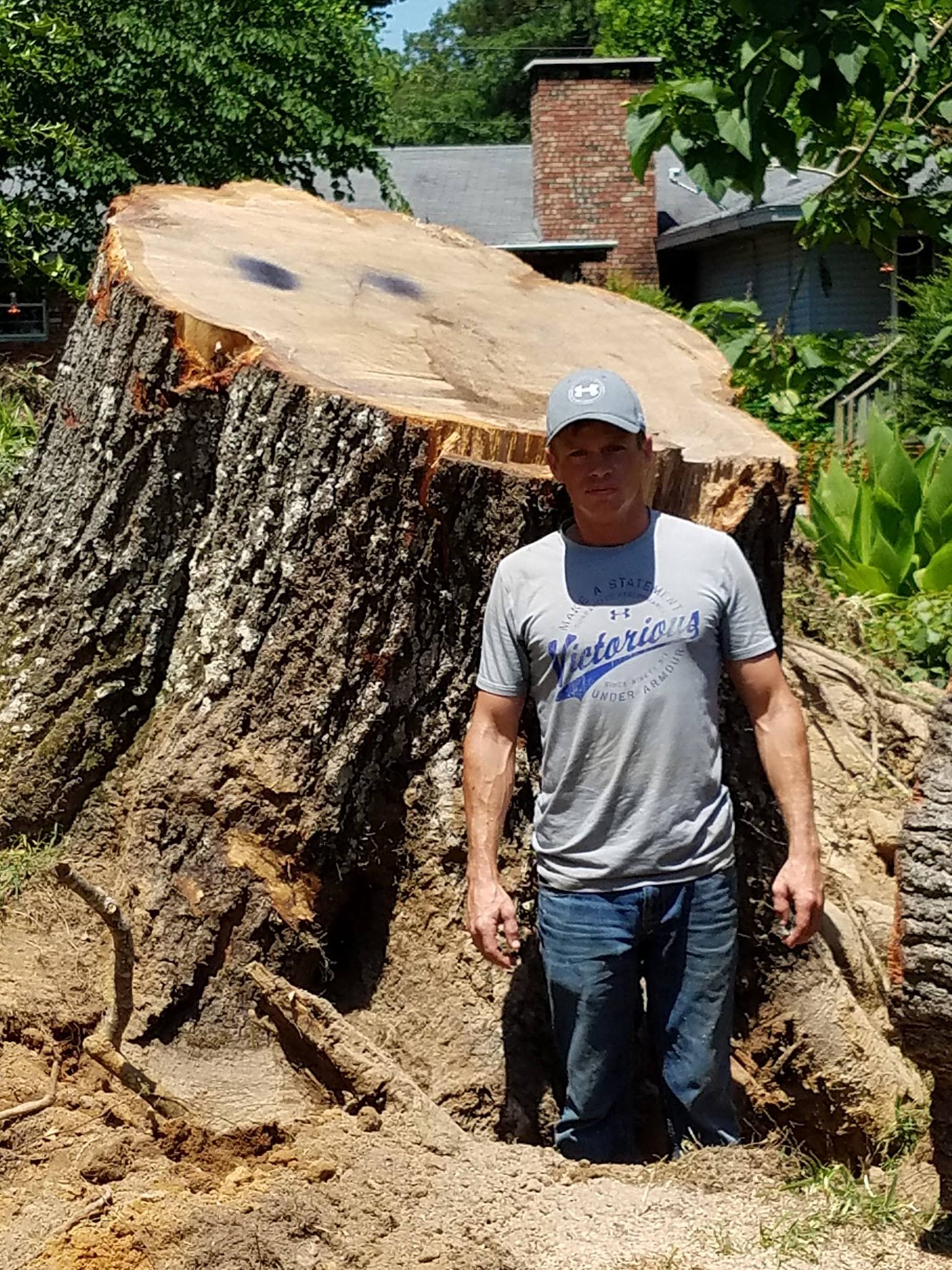 Services | Jedidiah Sawyer Tree Service | Bryant, AR