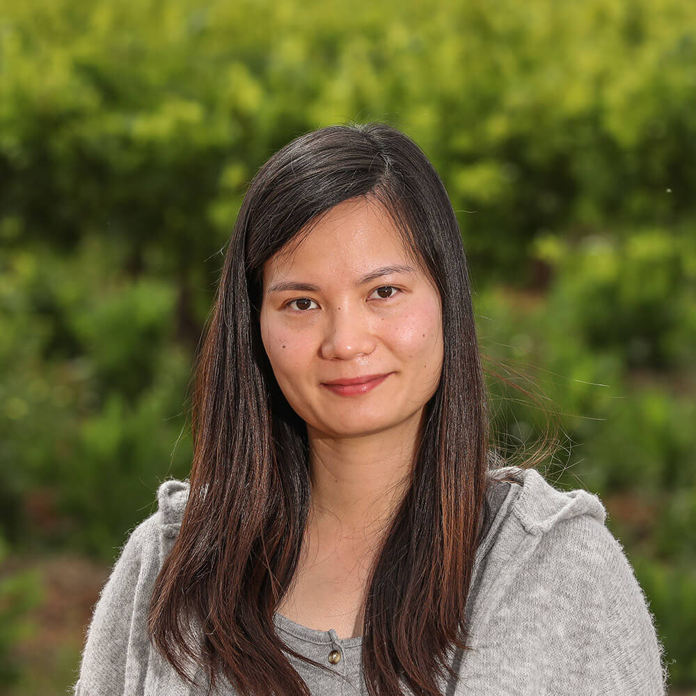 Our Team - CT Vineyards Pty Ltd