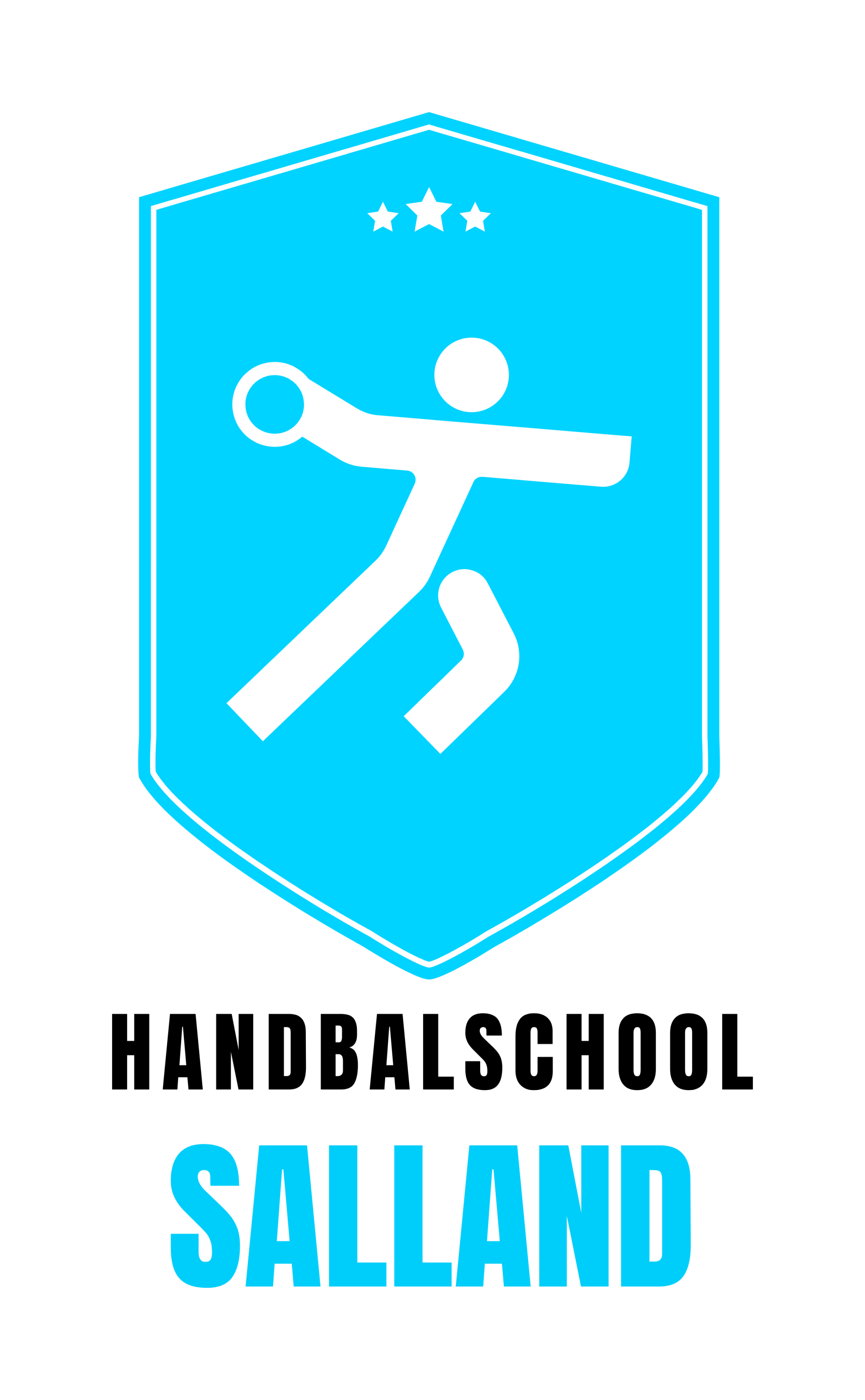 Handbalschool Salland, JE HANDBALCARRIÈRE BEGINT MET OPLEIDEN