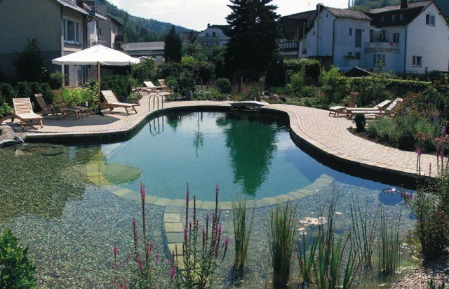 Aquatic Arts Pool n Spa