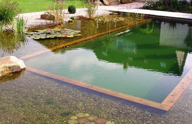 Aquatic Arts Pool n Spa