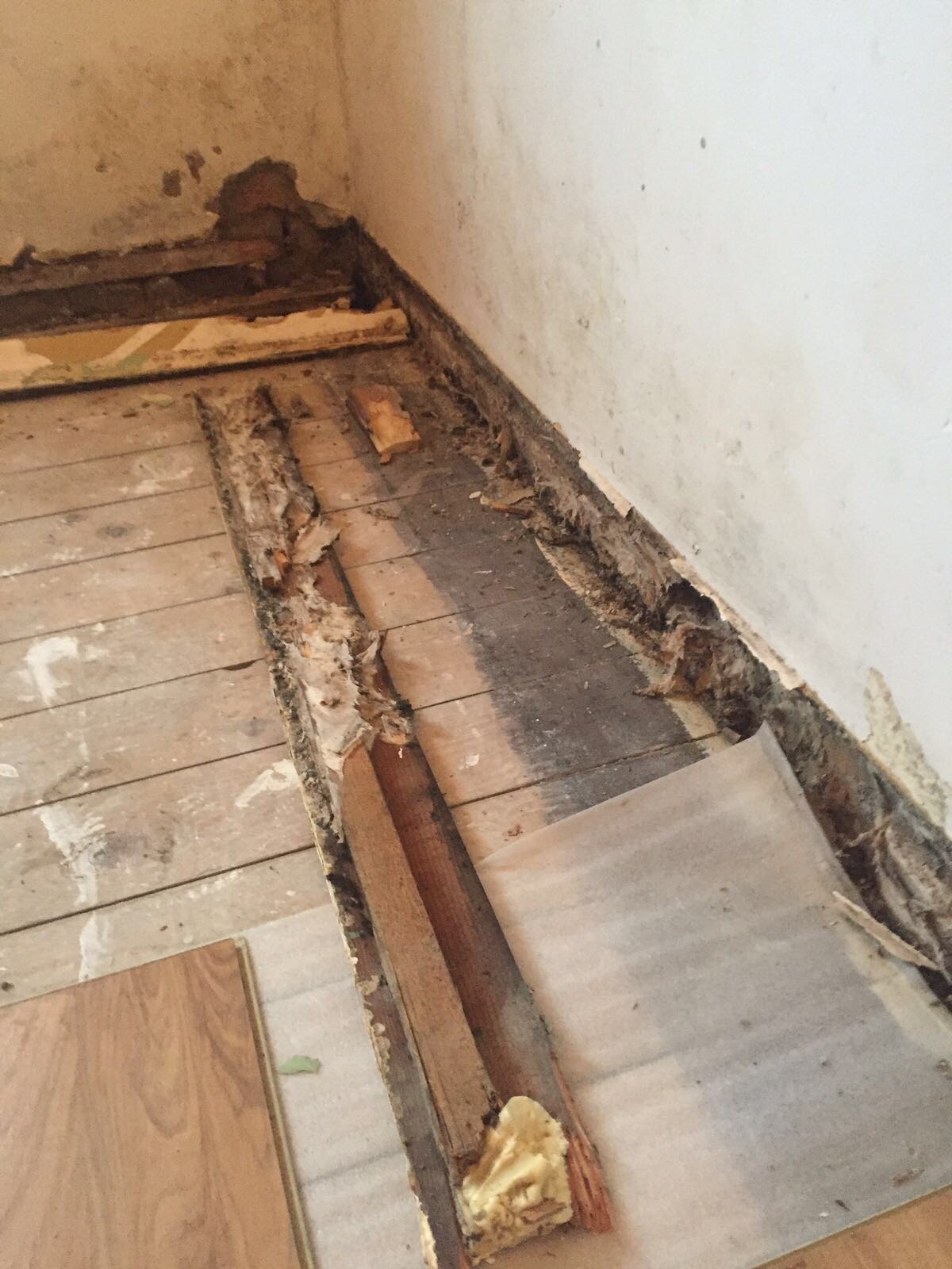 Timber preservation by Advanced Preservation Specialists Ltd