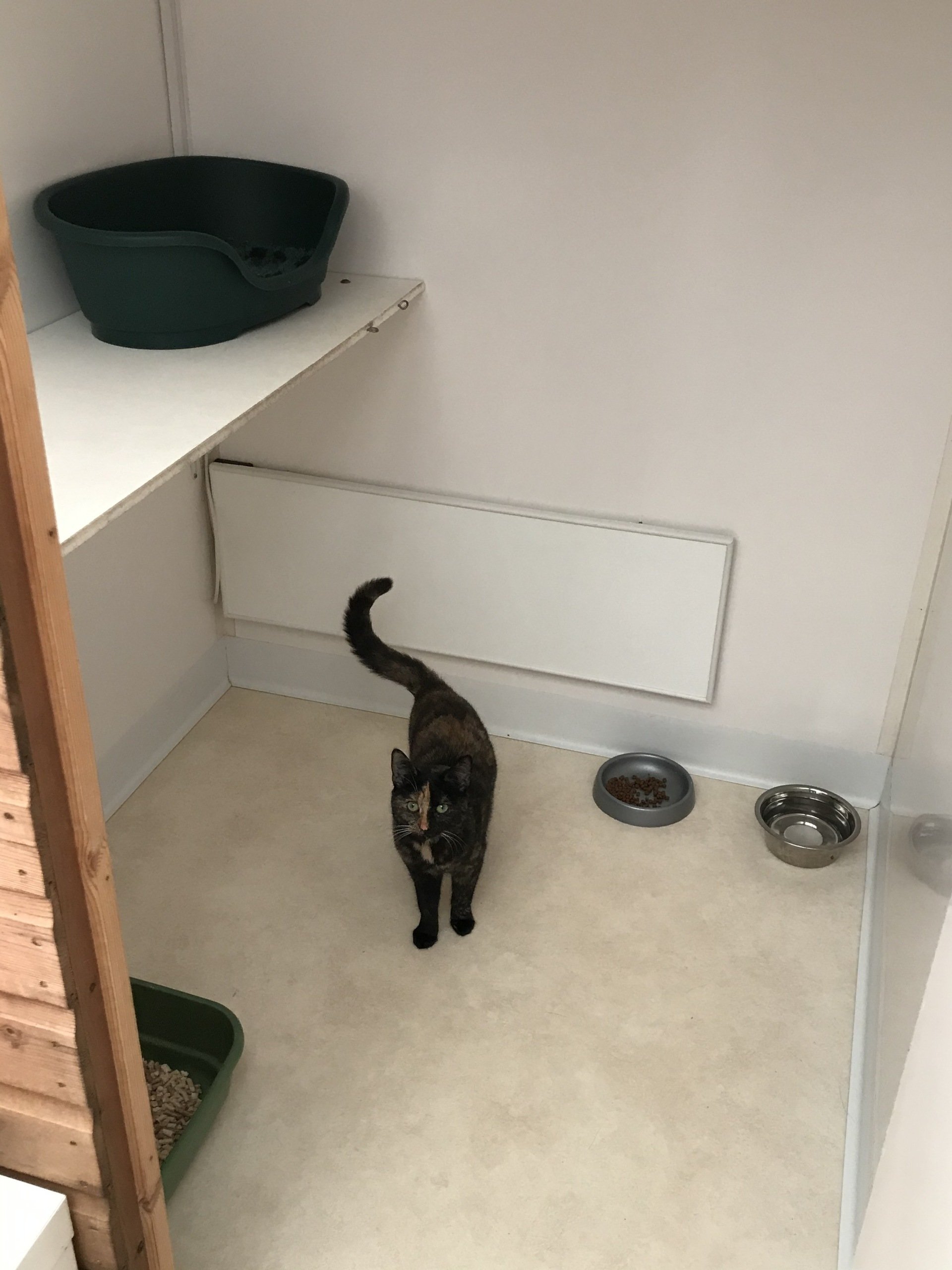 Cat chalets | Cloverlea Cattery