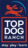 Dog Boarding | Top Dog Ranch | Broken Arrow, OK