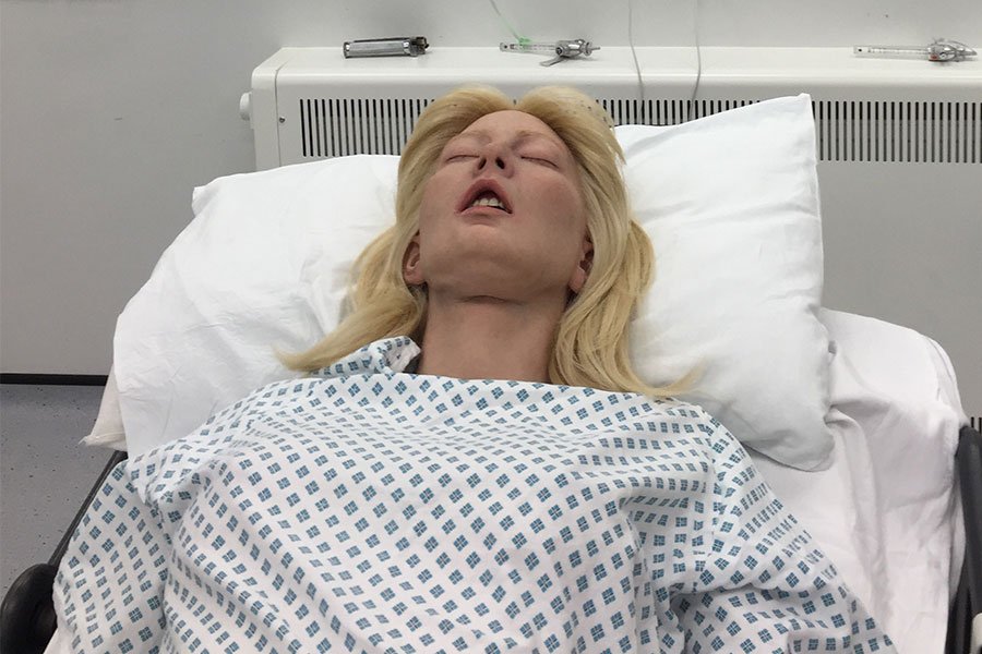 Lifecast Body Simulation | Adult Male & Female