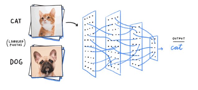 Artificial Neural Networks on the Edge