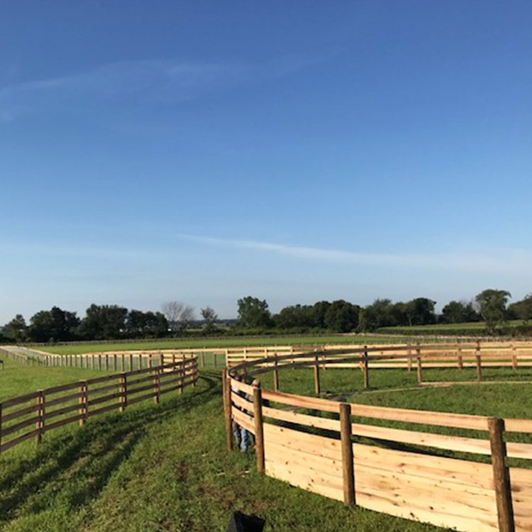 Gallery | Kentucky | Shuck Fence