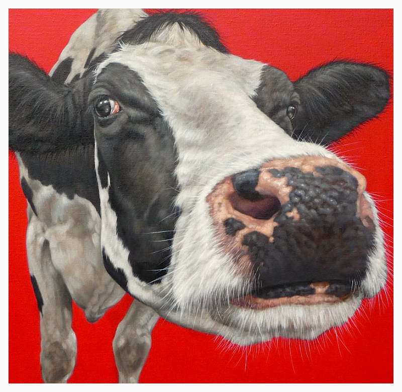 Paul Bell I Cow I Artist I Ballymena