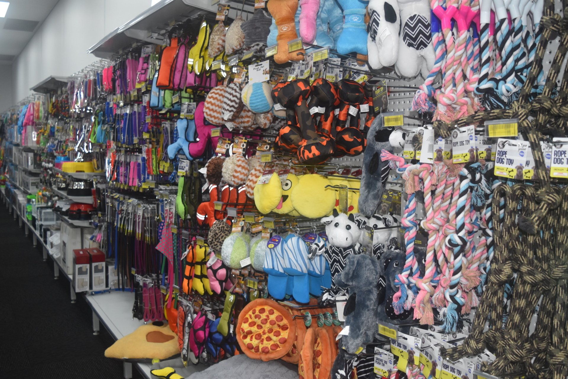 Pet Supplies in Alice Springs NT 0870 | Mad Harry’s