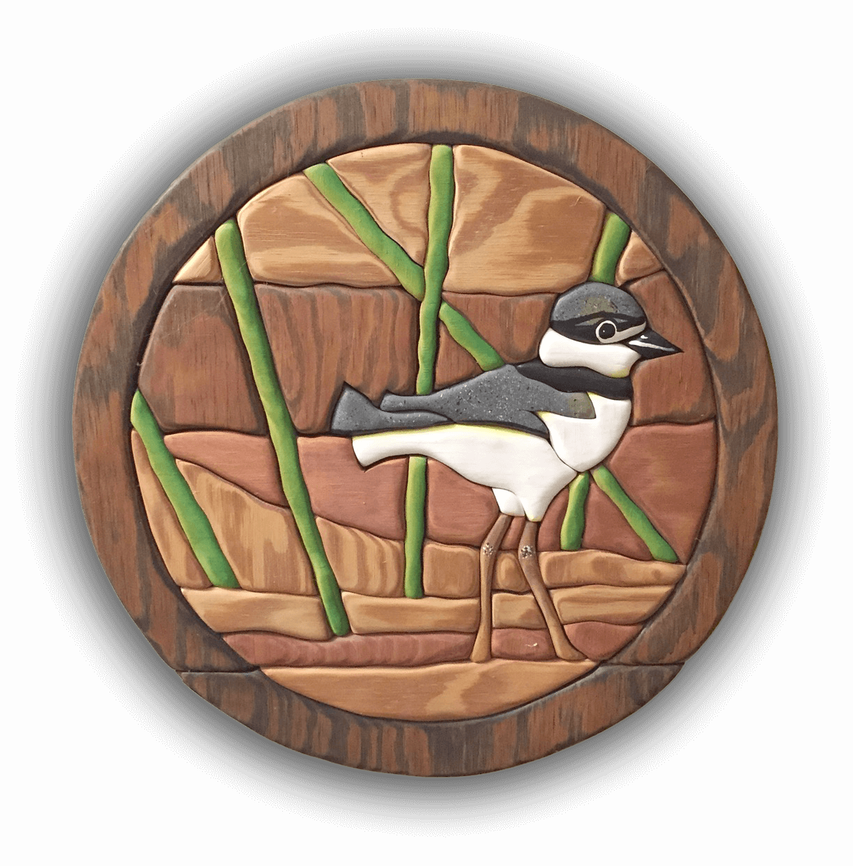 Avian Collection | Intarsia Art by Nick Vidakovic