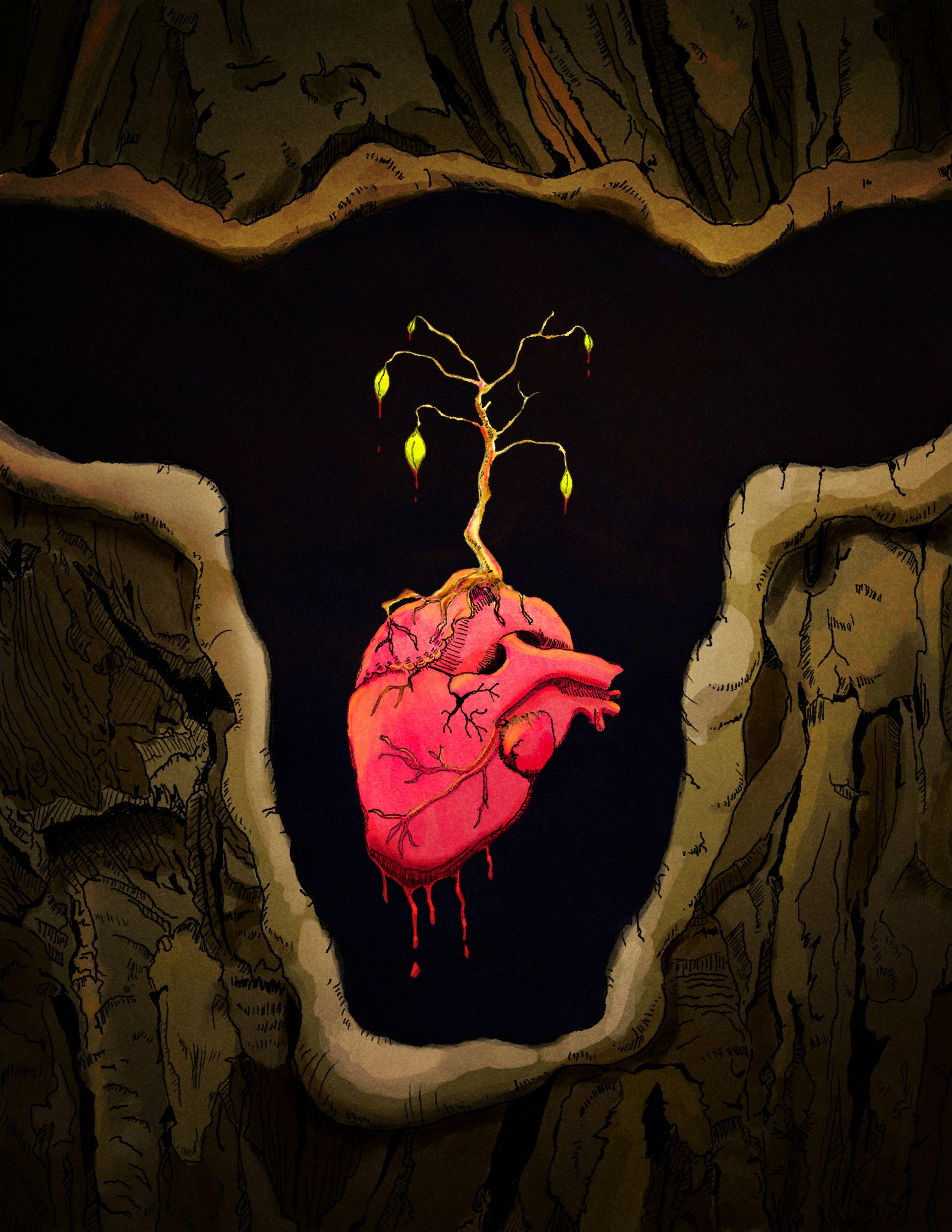 Steven Swift stevenswift.com