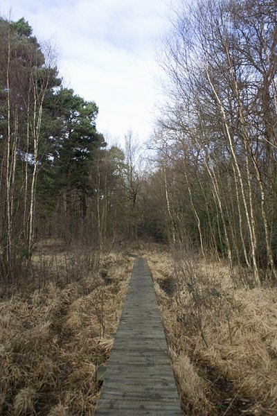 King Edward Residential Park | North Baddesley | Hampshire