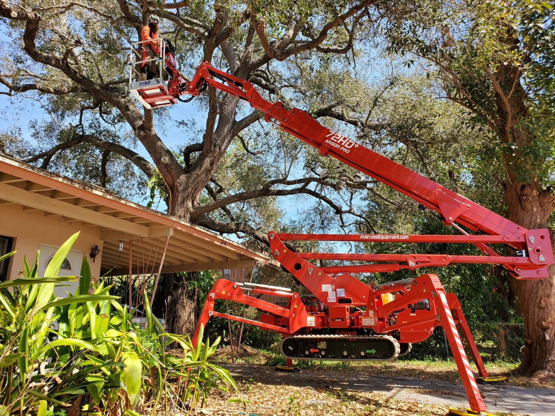Tree Service Experts Serving Pinellas And Hillsborough