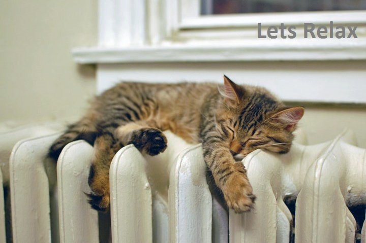 Best Heating Specialists. Discount Designer Radiators