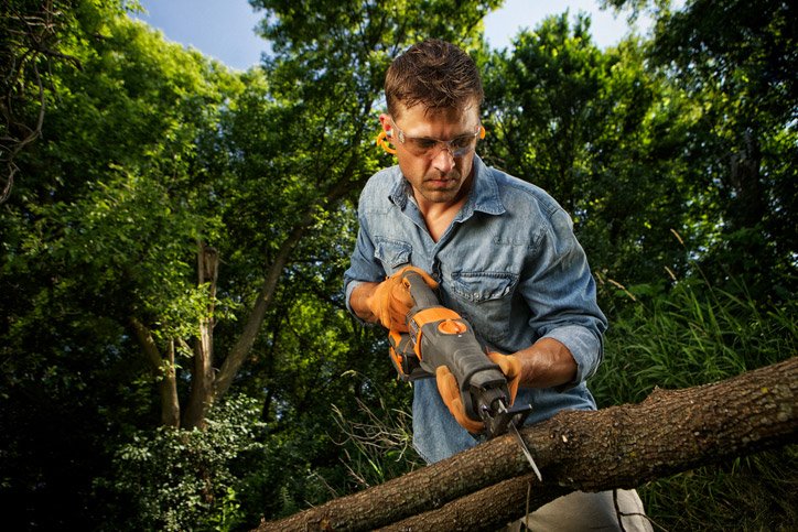 Zach's Tree Service | Rocky Mount, Wilson & Nashville, NC | Tree Company