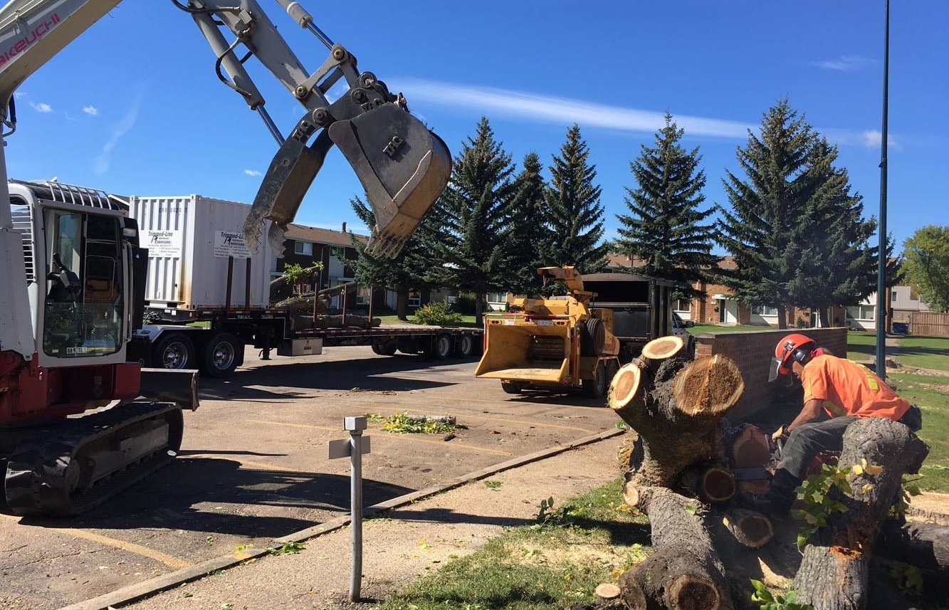Tree services Red Deer & surrounding areas | Eco Tree