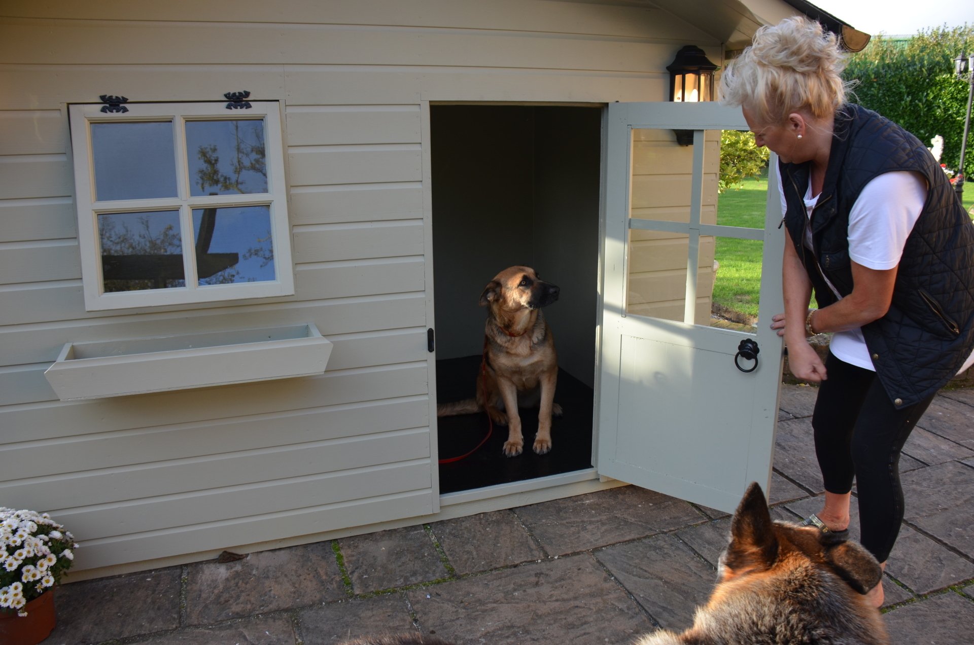 A selection of our beautiful, bespoke heated and lit dog cottages