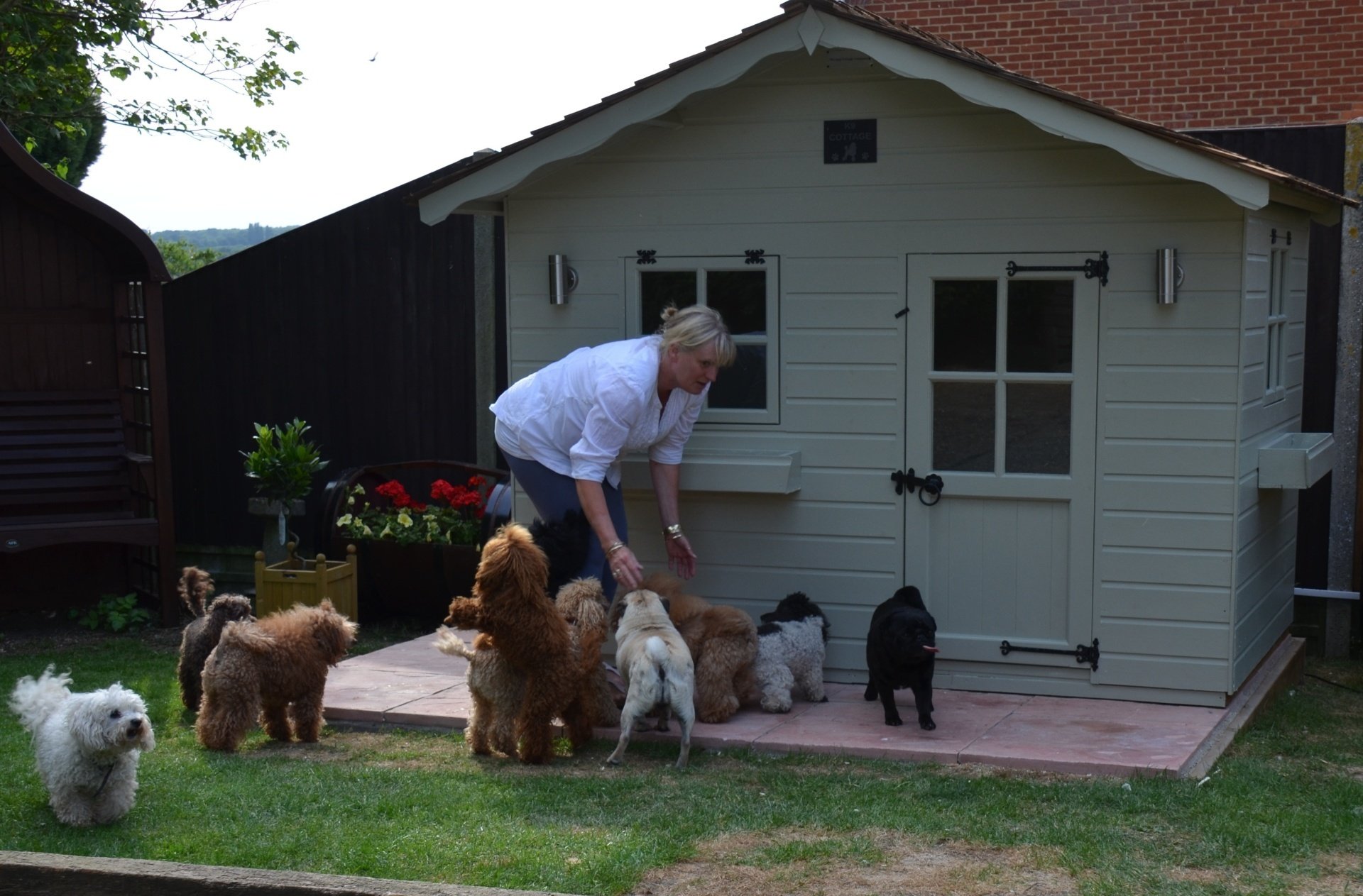 A selection of our beautiful, bespoke heated and lit dog cottages