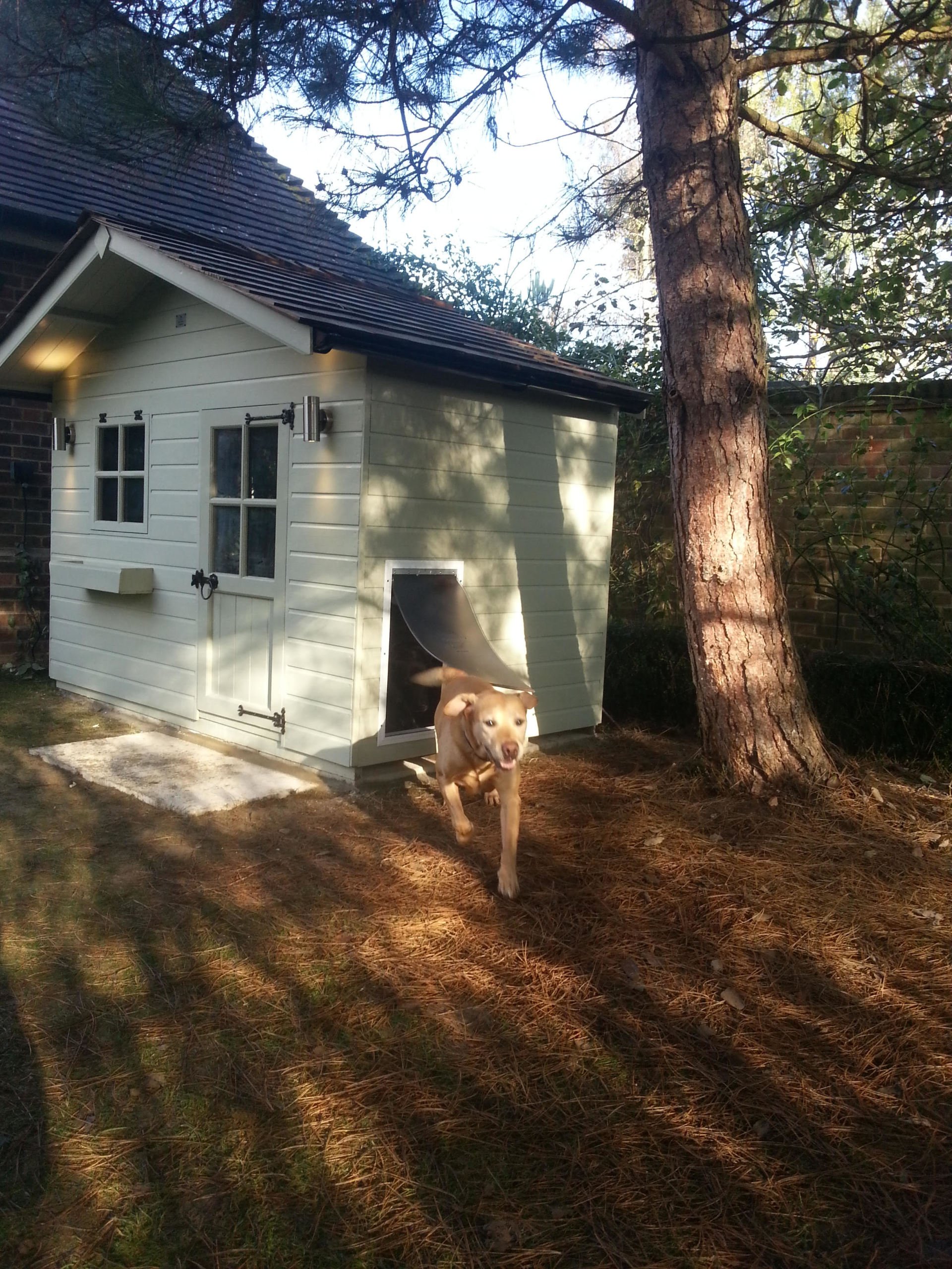 A selection of our beautiful, bespoke heated and lit dog cottages