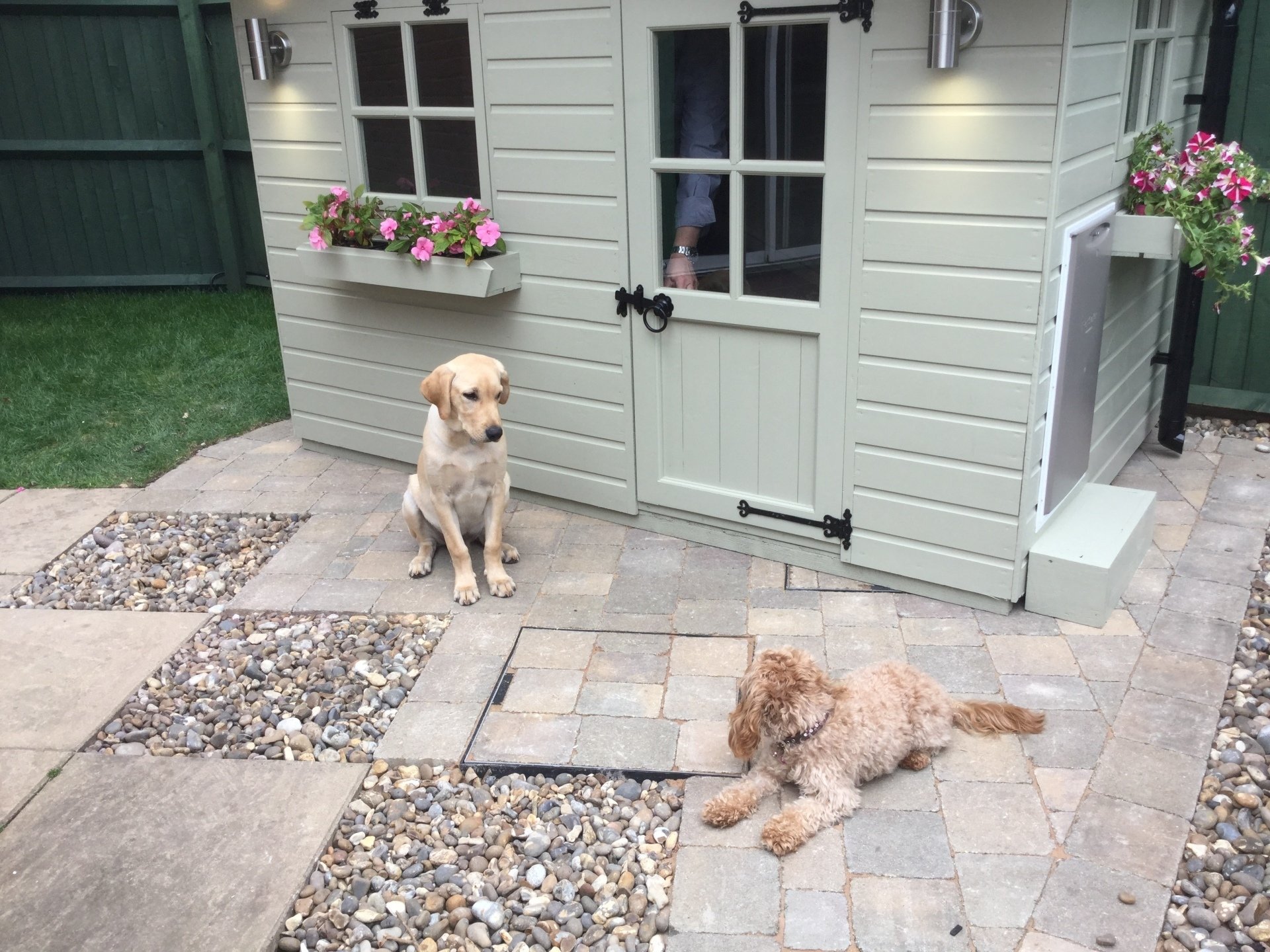 A selection of our beautiful, bespoke heated and lit dog cottages