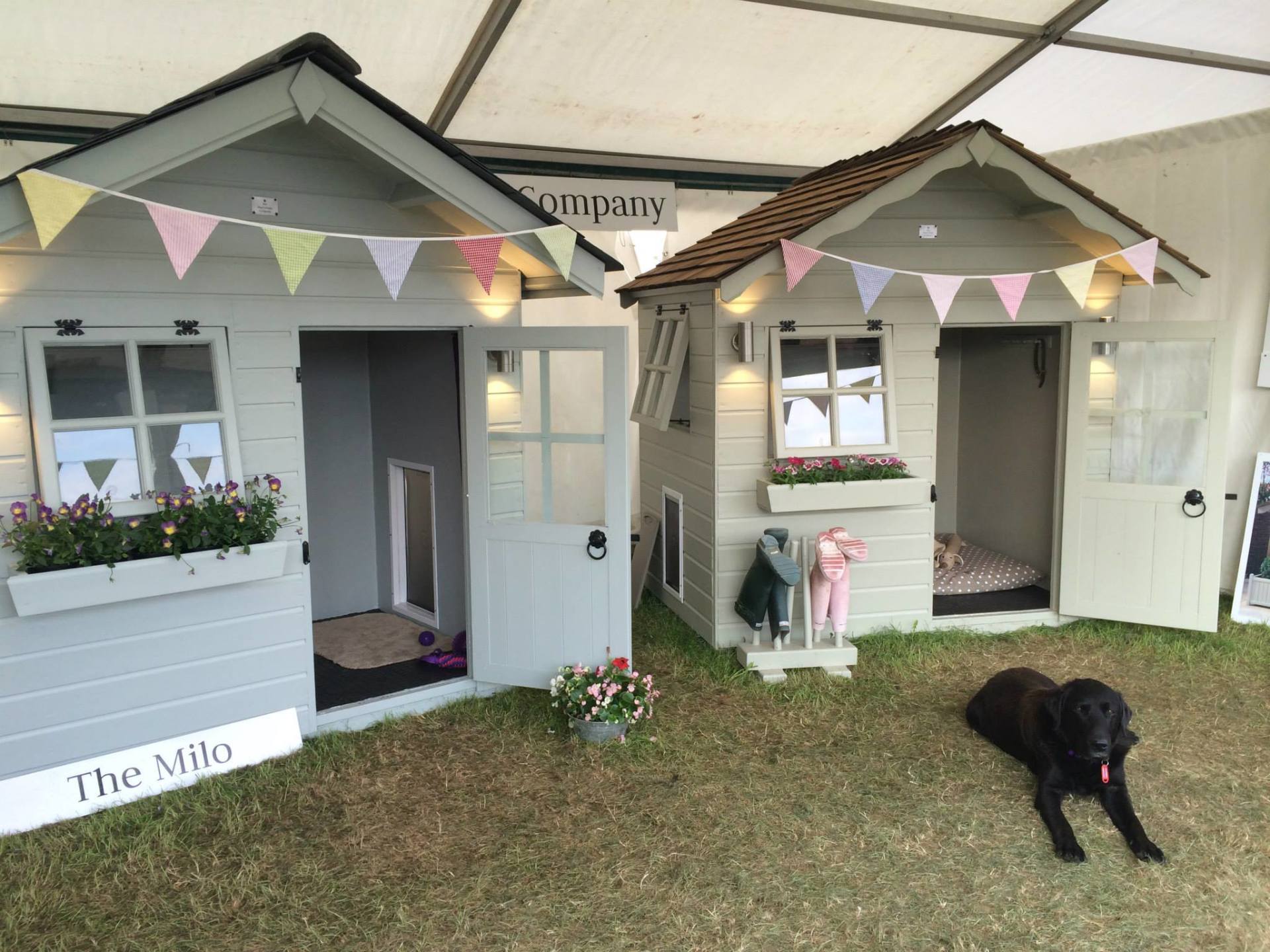 A selection of our beautiful, bespoke heated and lit dog cottages