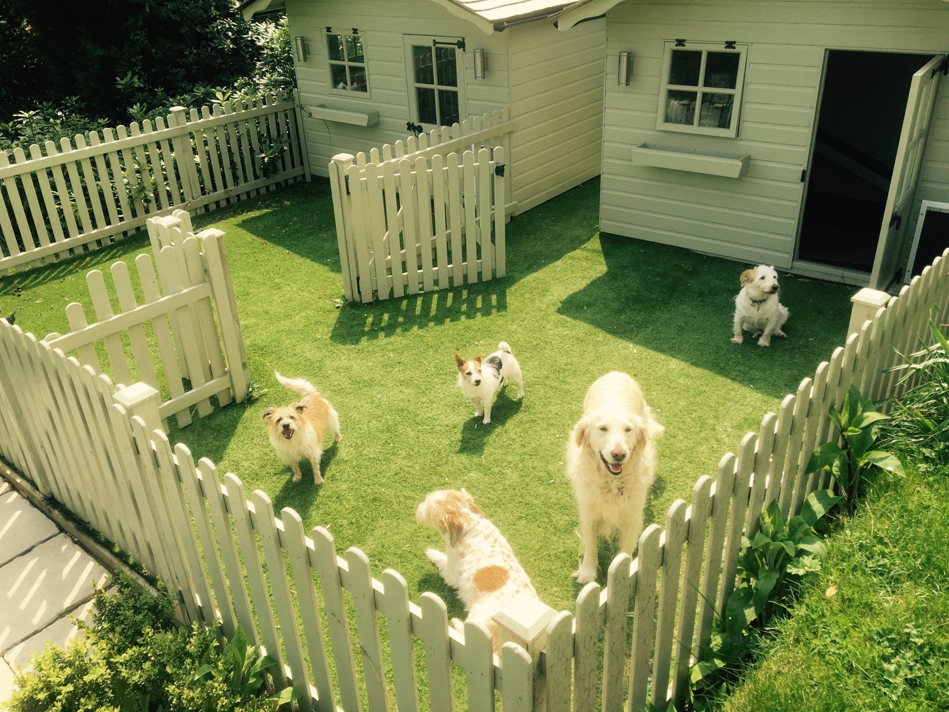 A selection of our beautiful, bespoke heated and lit dog cottages