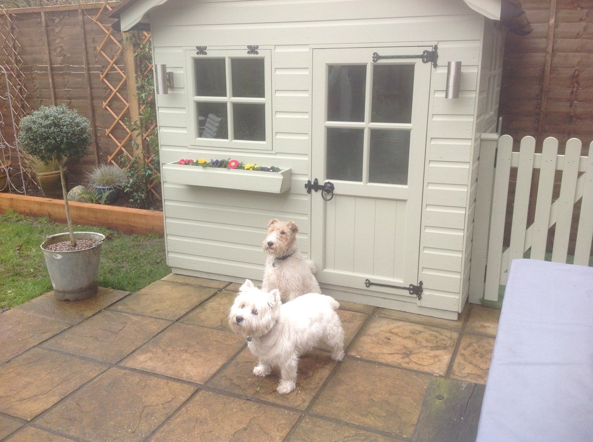 A selection of our beautiful, bespoke heated and lit dog cottages