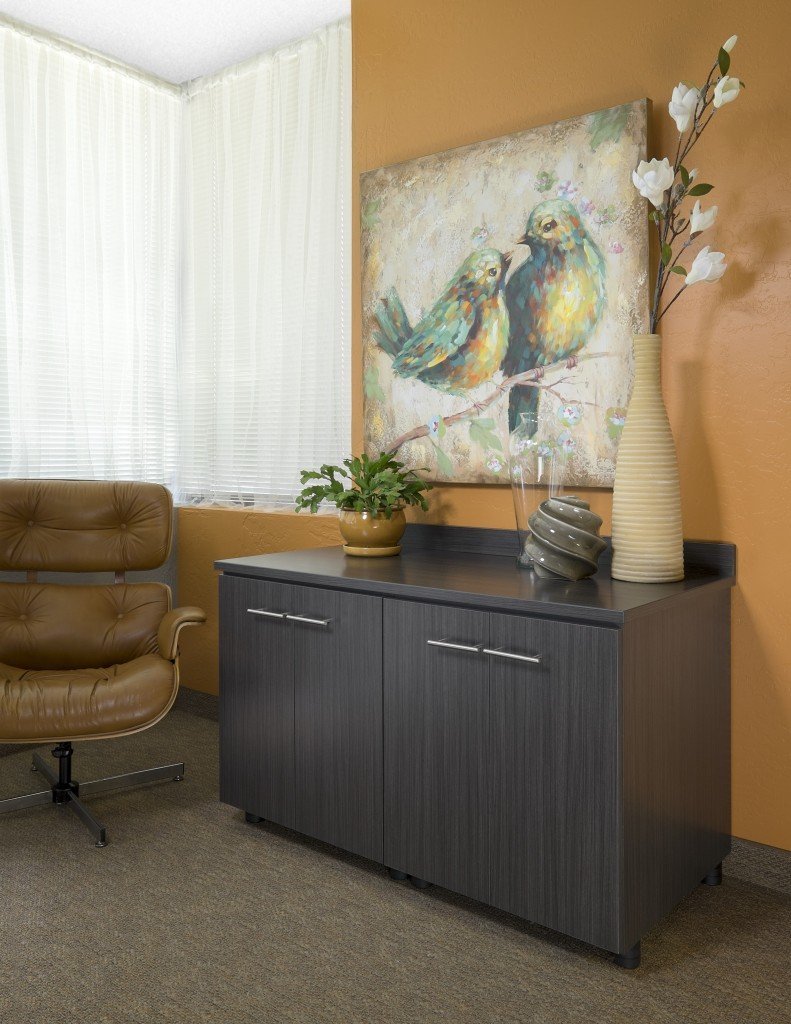 Custom Home Office Design & Installation Services Clearwater, Tampa FL ...