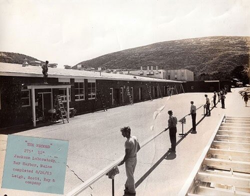 Experienced Gutter Company | Raymond, ME | The Gutter People