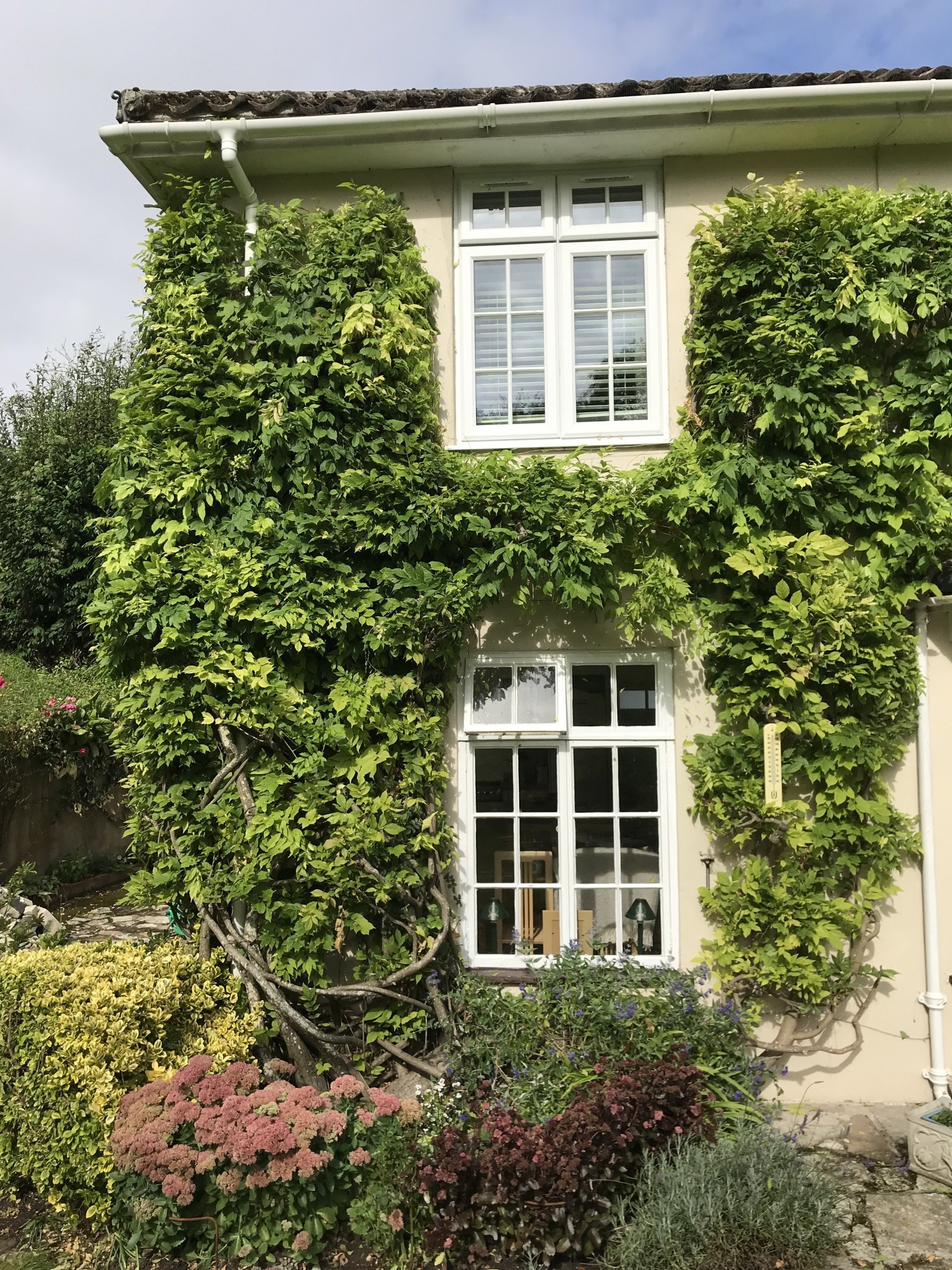 Hedge & Lawn Ops - Creating neat & tidy hedges & lawns in North & Mid ...