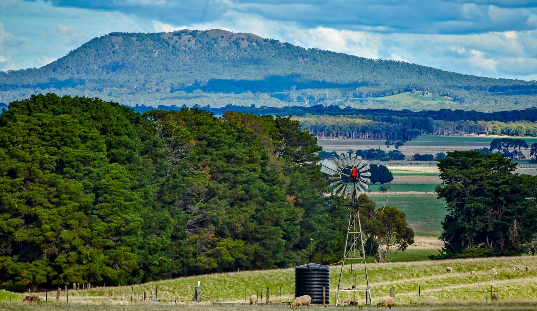 Local Attractions | Hamilton Caravan Park