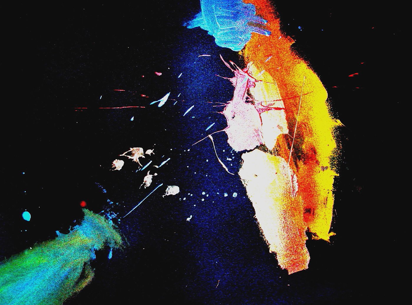 Bob Neuwirth Official Website | ART