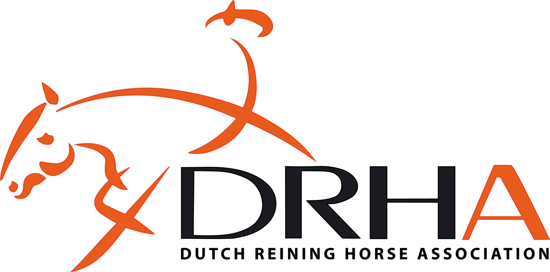 Home - Dutch Reining Horse Association