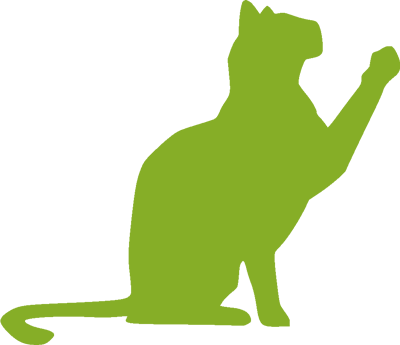 Cat Boarding Hotel for your Pet | Blue Mountain Pets Hotel