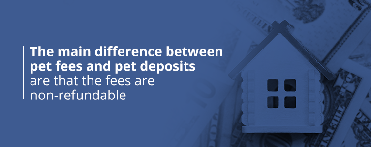 Landlord Guide to Renting to Tenants With Pets