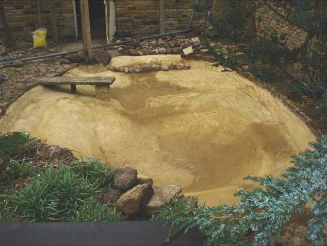 Case Studies | The Pond Doctor