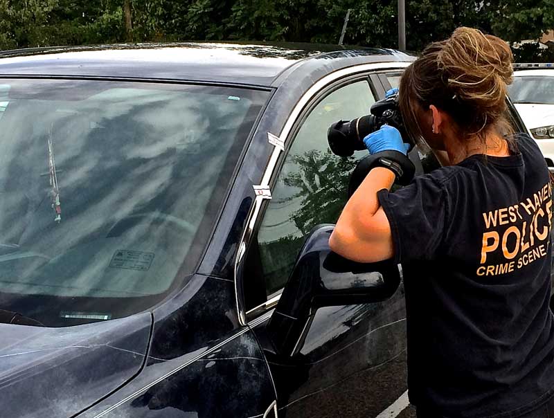 West Haven Police Dept | Department Divisions