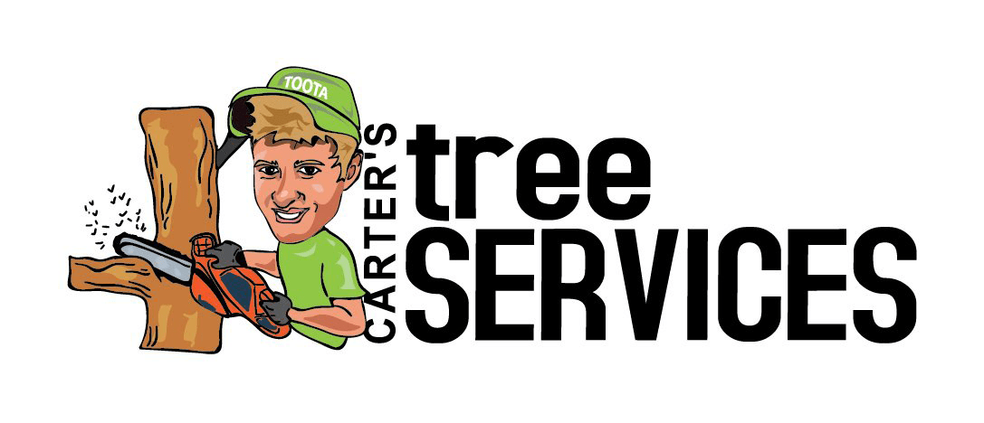 Carter Group