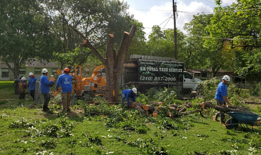 Total Tree Service San Antonio | Tree Service Estimate (210) 857-2006