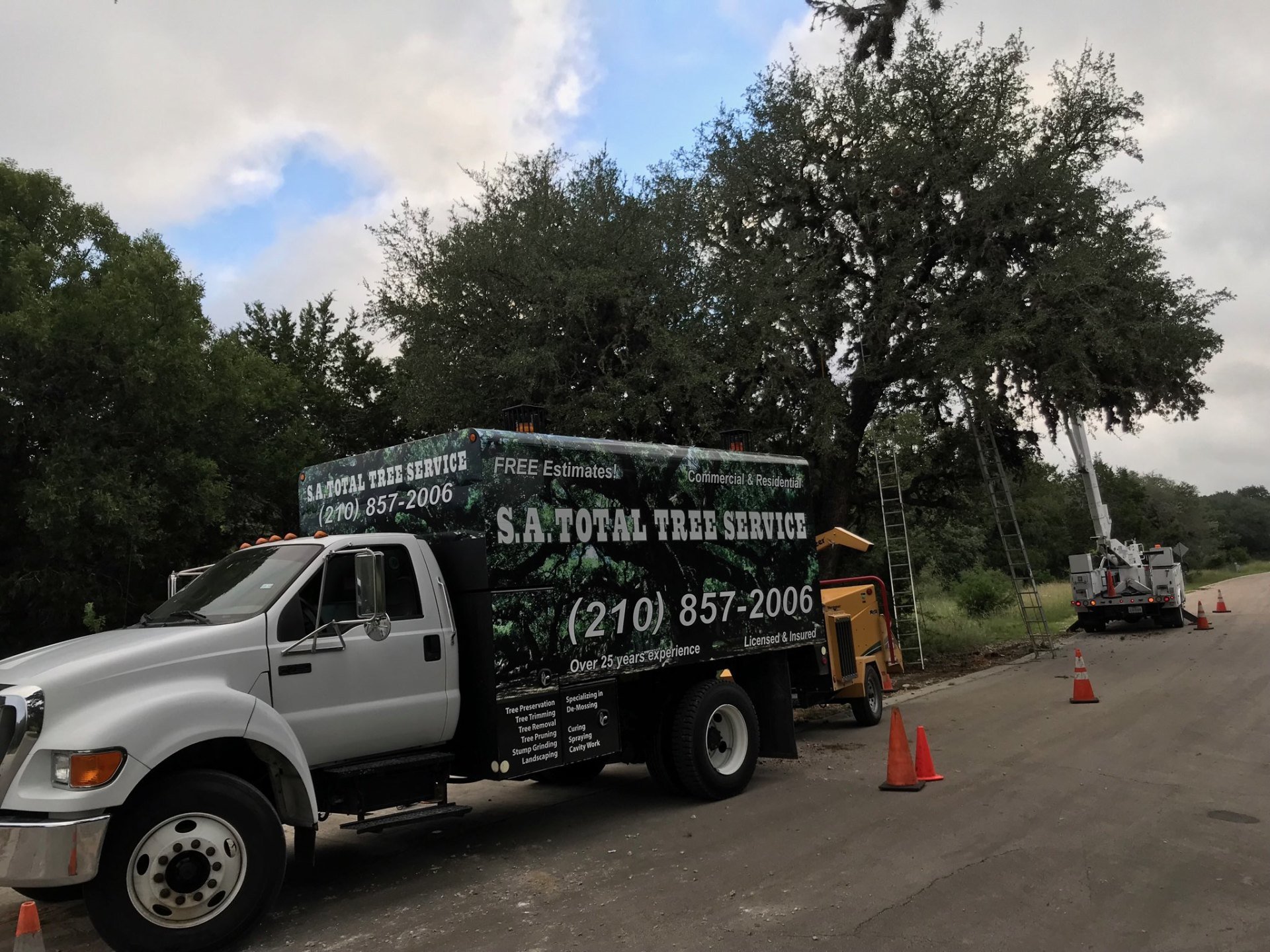 Total Tree Service San Antonio | Tree Service Estimate (210) 857-2006
