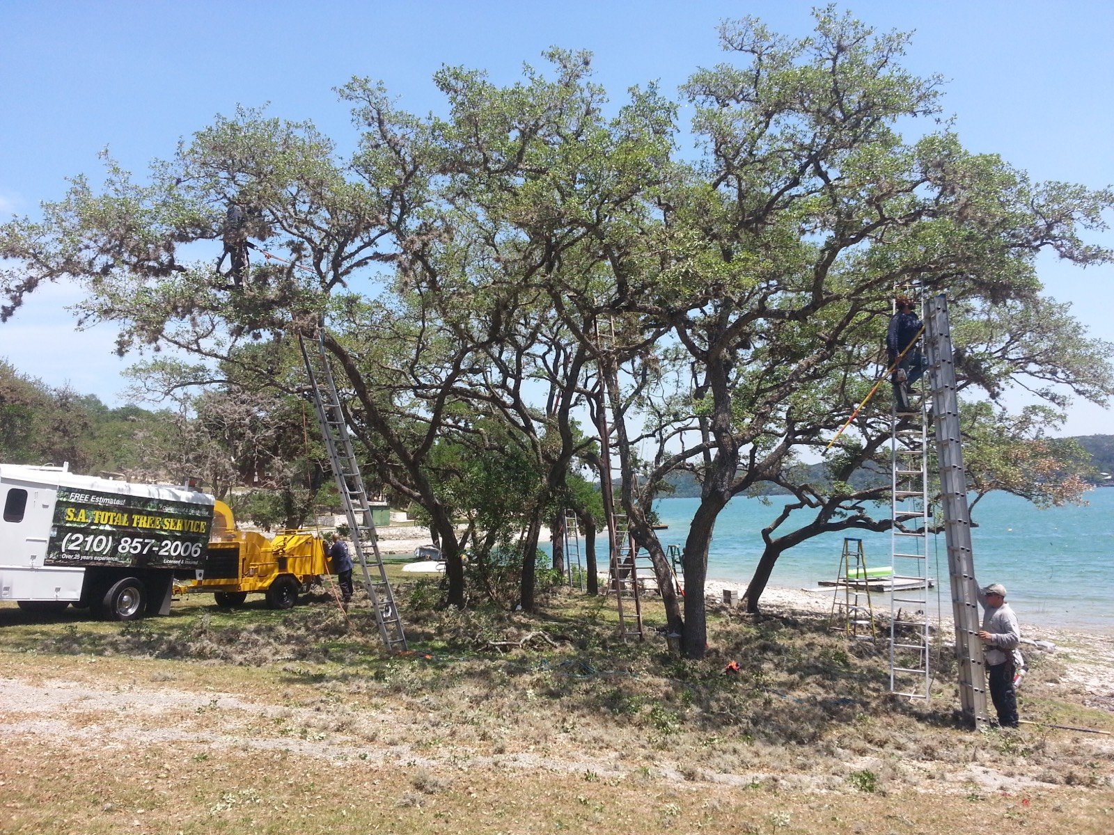 Total Tree Service San Antonio | Tree Service Estimate (210) 857-2006