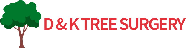 Tree Services in Wagga Wagga | D & K Tree Surgery