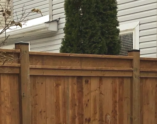Davis Fences | Wood Fences | Hamilton & Burlington