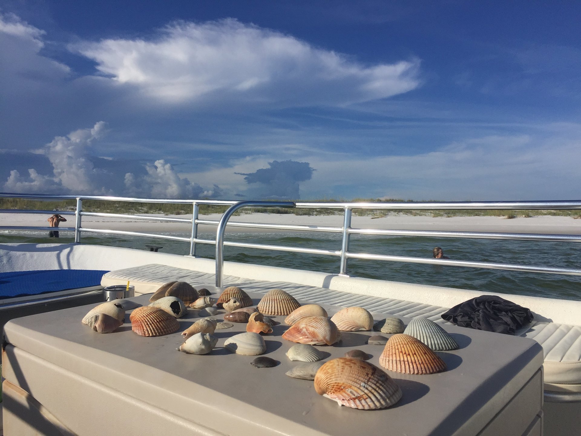 Osprey Shell Island Dolphin Tours 850-814-8016